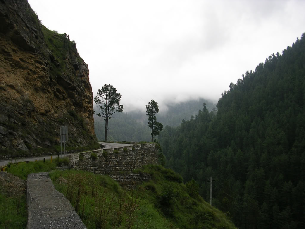 Tourism Nathia Gali Hotels Rates Guest House Nathia Gali Travel Guide tourism-nathia-gali-hotels-rates-guest-house-nathia-gali-travel-guide