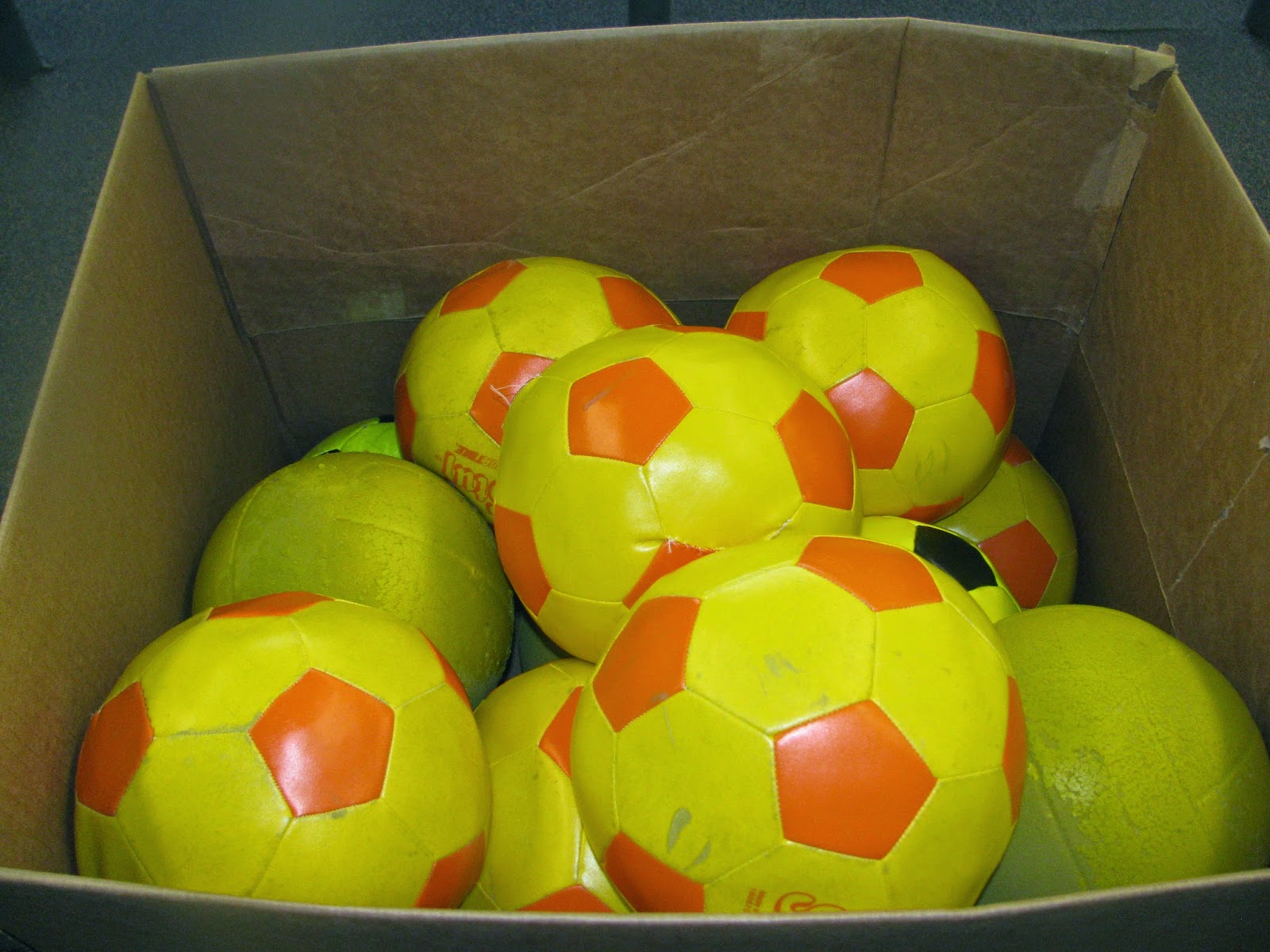 Carly's PE Games: Soccer Obstacle Course / Constituation Day P.E ...