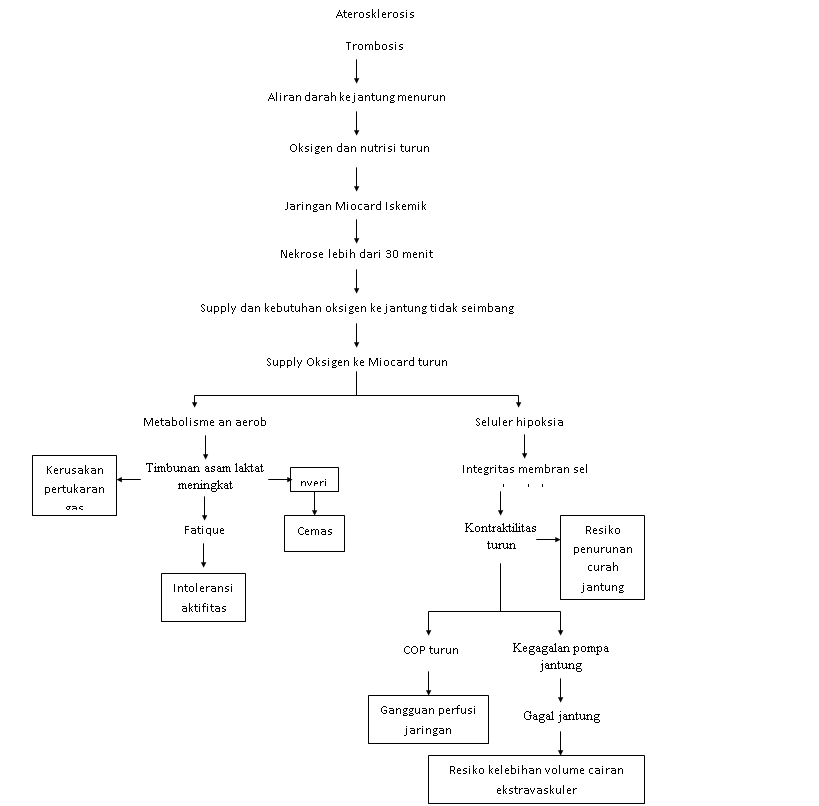 Asuhan Keperawatan Akut Miocard Infark (AMI) ~ Semua Materi Keperawatan