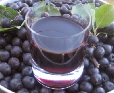 Aronija je dobra za Vaše zdravlje – Narodna Apoteka