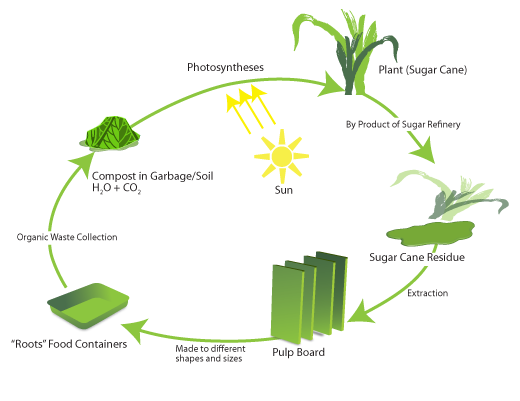 Breakfast Letters: Sugarcane Clamshell