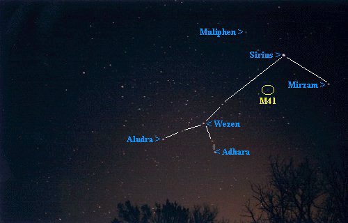 What I Want To Know Canis Major what-i-want-to-know-canis-major