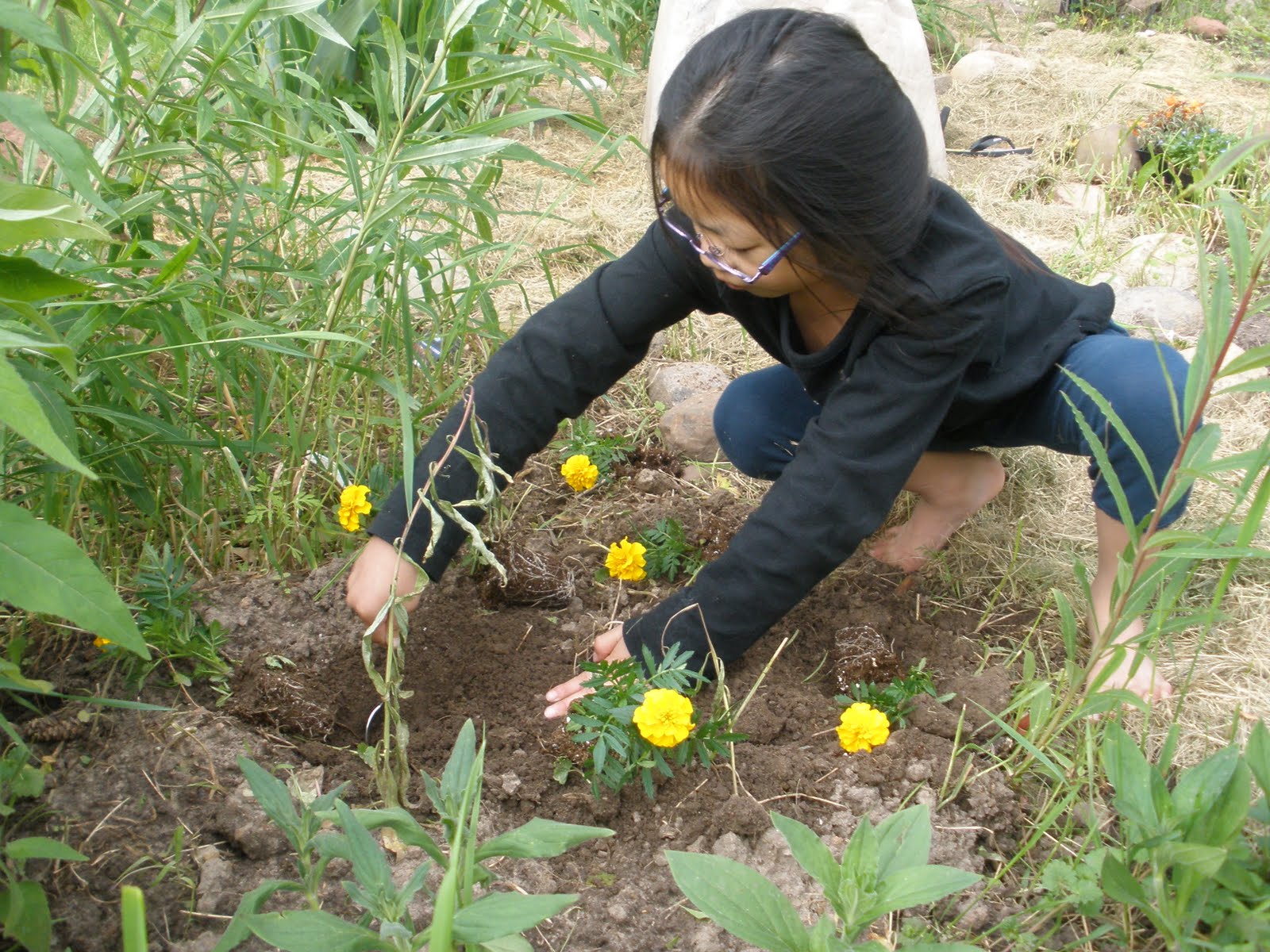 Planting a Flower Garden | Harvest Moon by Hand