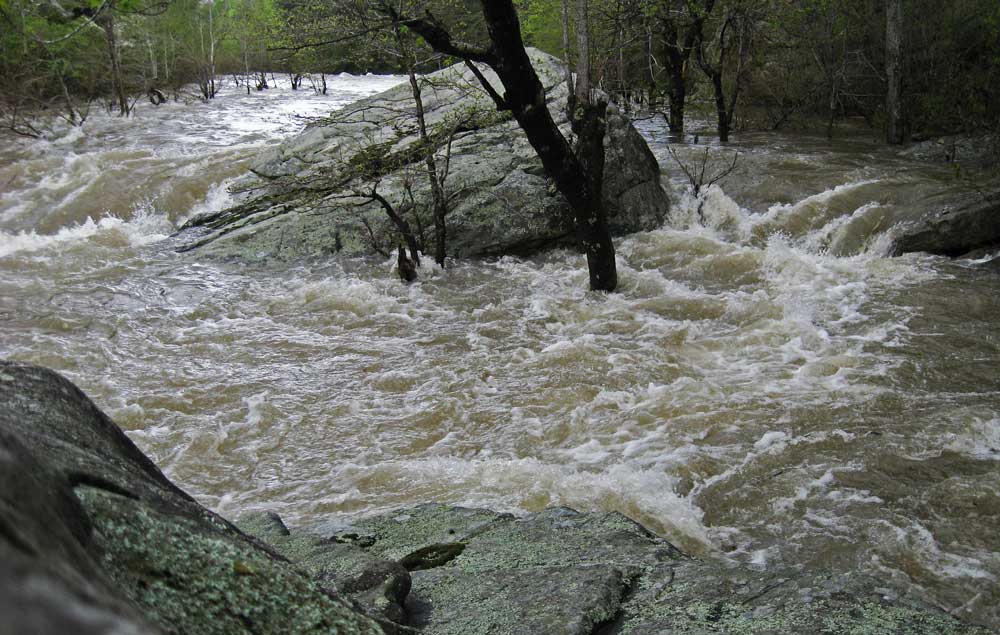 WhitesCreek Journal Just Over 3 1 2 Inches Of Rain Last Night whitescreek-journal-just-over-3-1-2-inches-of-rain-last-night