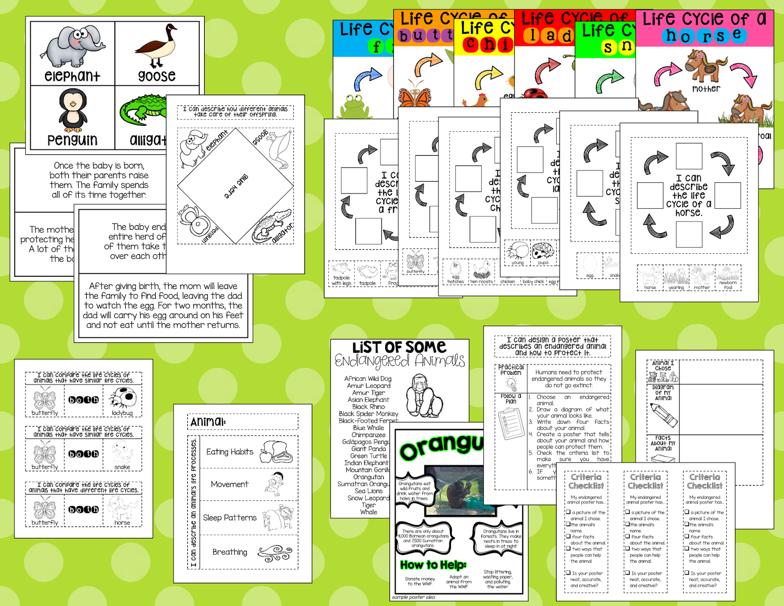 First Grade Garden: Second Grade Interactive Science Journals