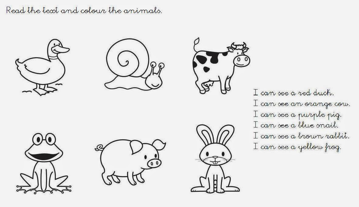 English Class: Animals, follow up activity