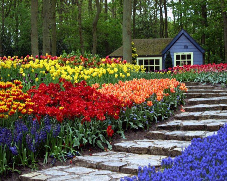 Keindahan Warna-warni Di Taman Bunga... - Relaks Minda Keindahan Warna-warni Di Taman Bunga... - Relaks Minda