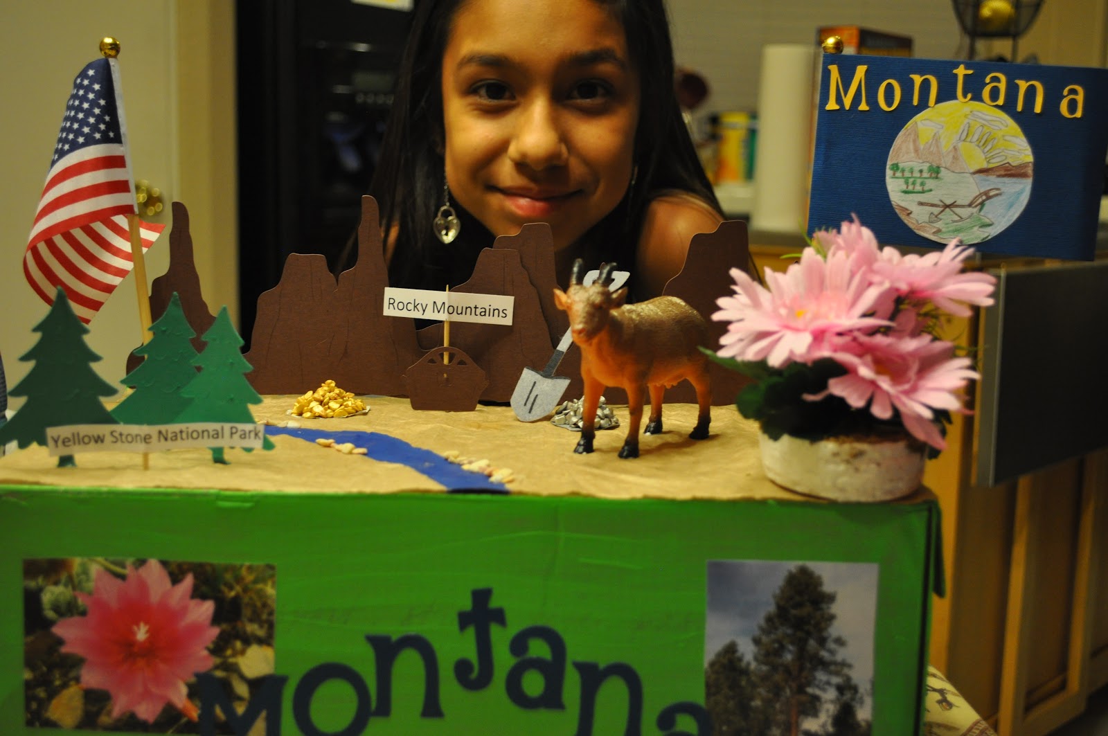 Juanita's life blog: 5th Grade State Project (Montana)