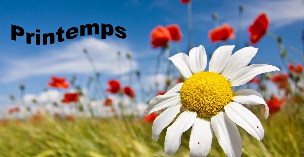 Les TPS/PS de l' EFID: C'est le printemps