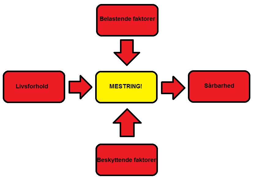 Selvskadende Adfærd: Mestring - sårbarhed