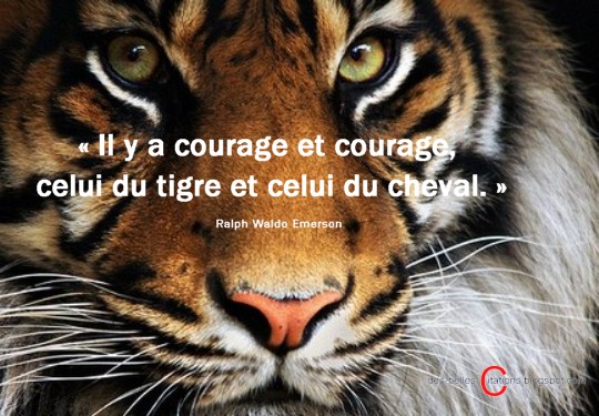 Citations: Les meilleures citations courage Citations: Les meilleures citations courage