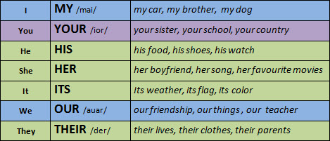 Blog: 3) Possessive adjectives (Adjetivos posesivos)