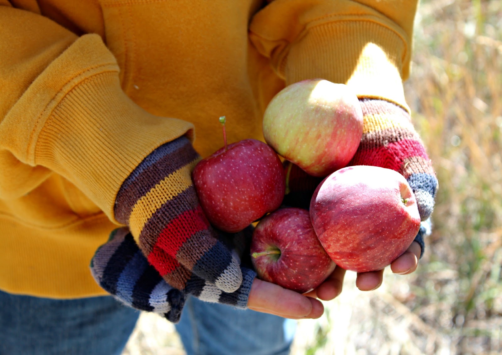 Moore Minutes: Filling baskets and warming hearts with a day in the ...