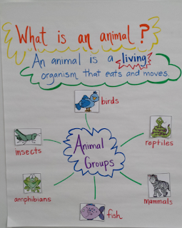 Little Learning Stars: All About Animal - Science and Informative ...
