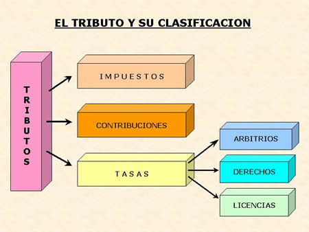 Rincon Tributario: LOS TRIBUTOS