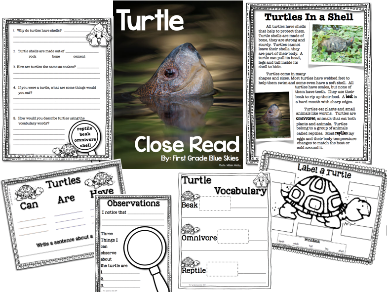 Turtle Close Read FREEBIE : Blue Skies with Jennifer White