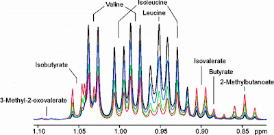 NMR Analysis, Processing and Prediction: Fermentanomics