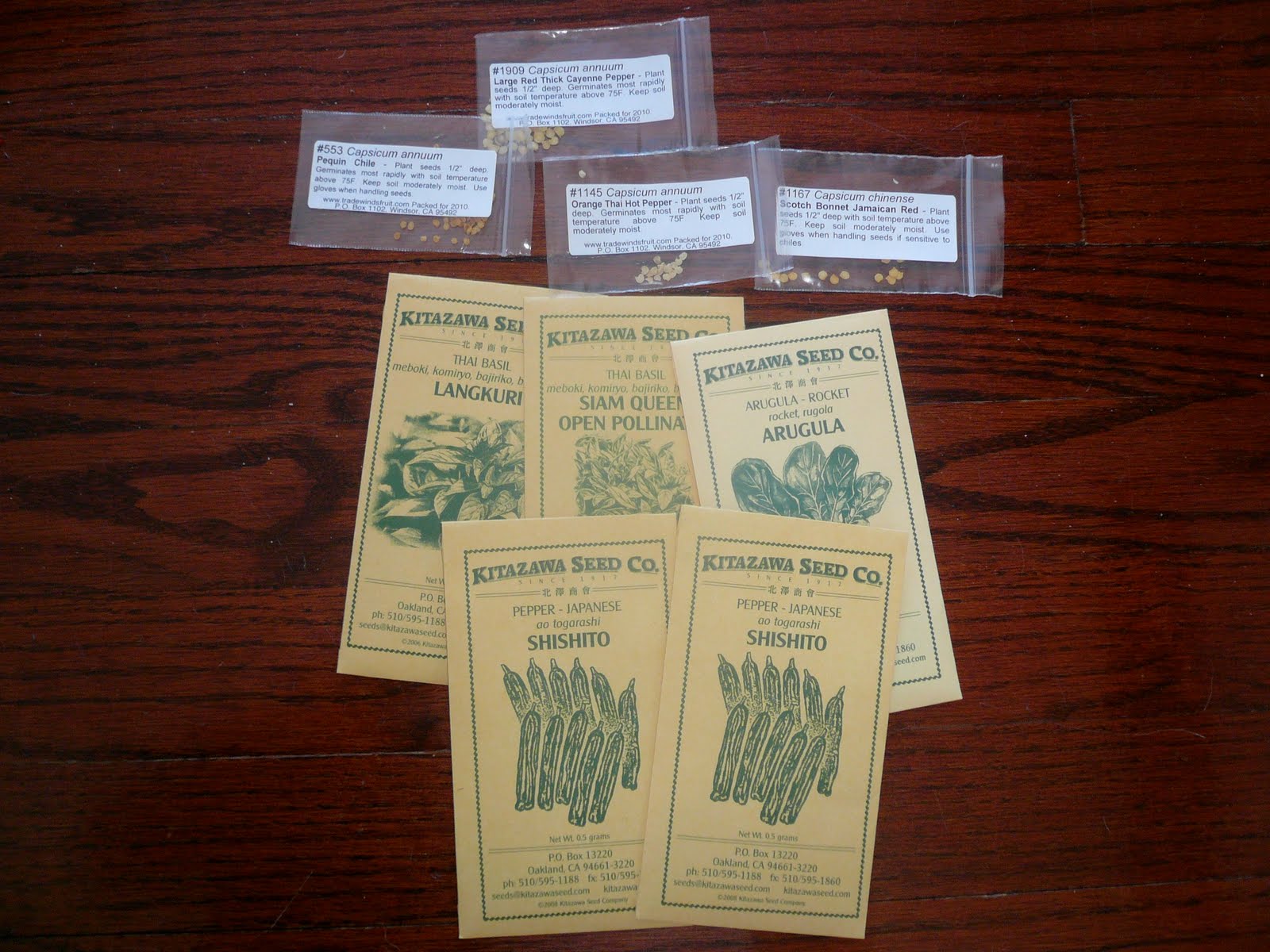 Garden Glamour by Duchess Designs