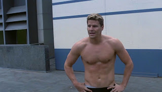 Dave's Hot Guys: David Boreanaz