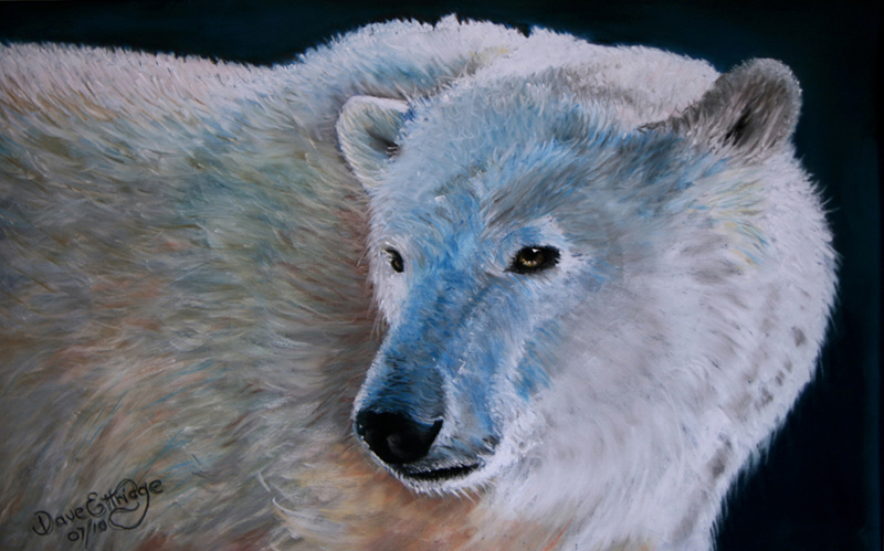 Portraits and Landscapes: Animal Portraits