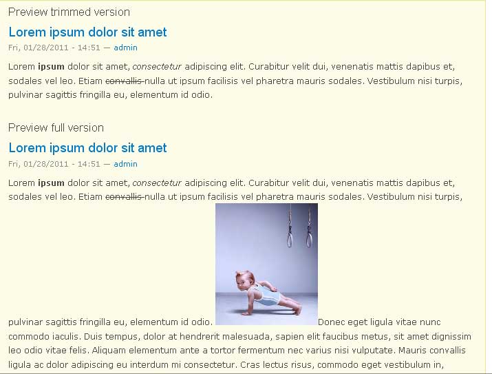 Drupal 6: Konfigurasi Wysiwyg dan Input Format | Pontianak Web & Open Source