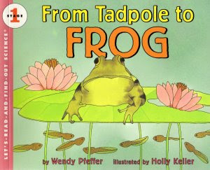 We All Start Somewhere ! - No Time For Flash Cards