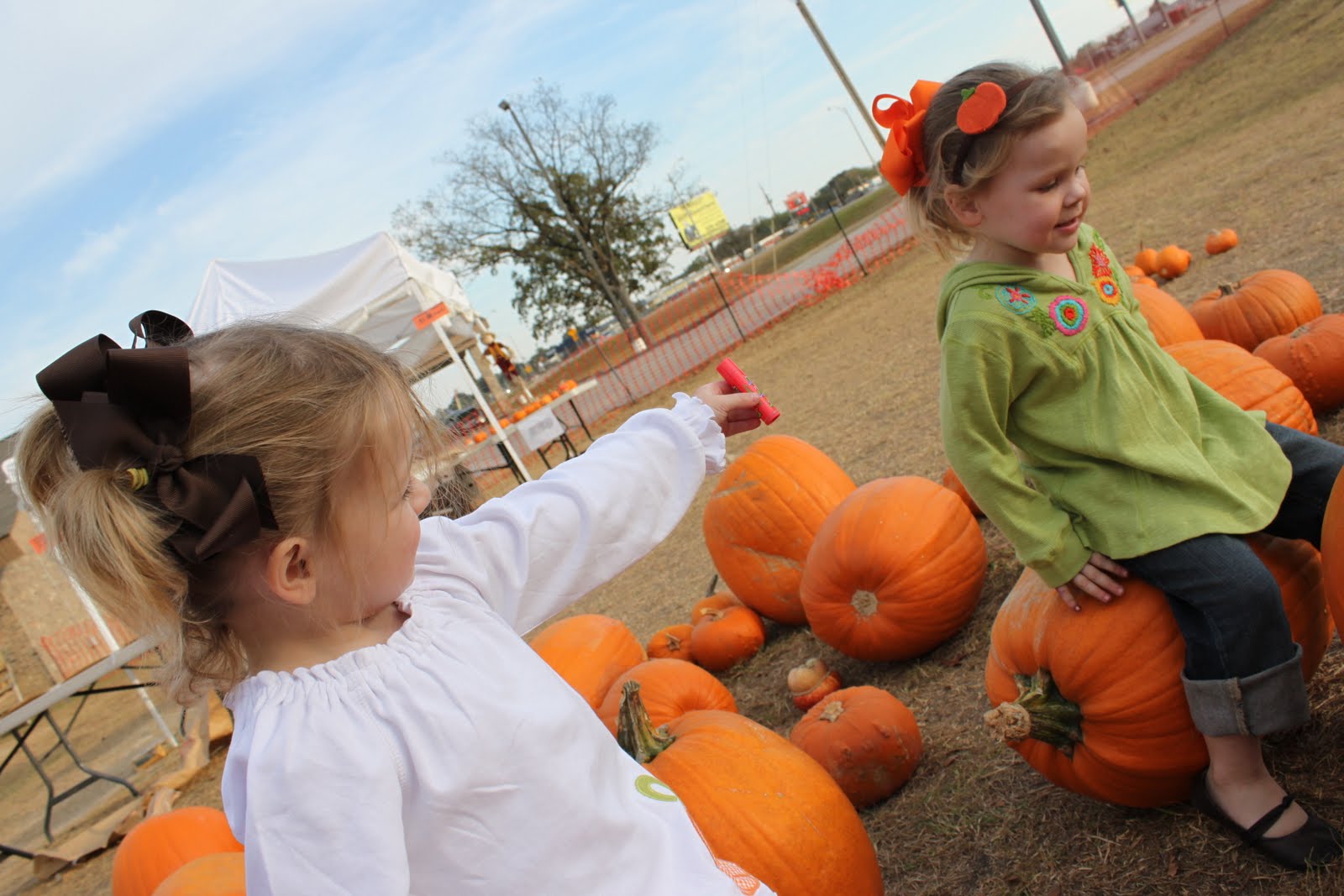 Mojoy: Pumpkin Patch 2010...