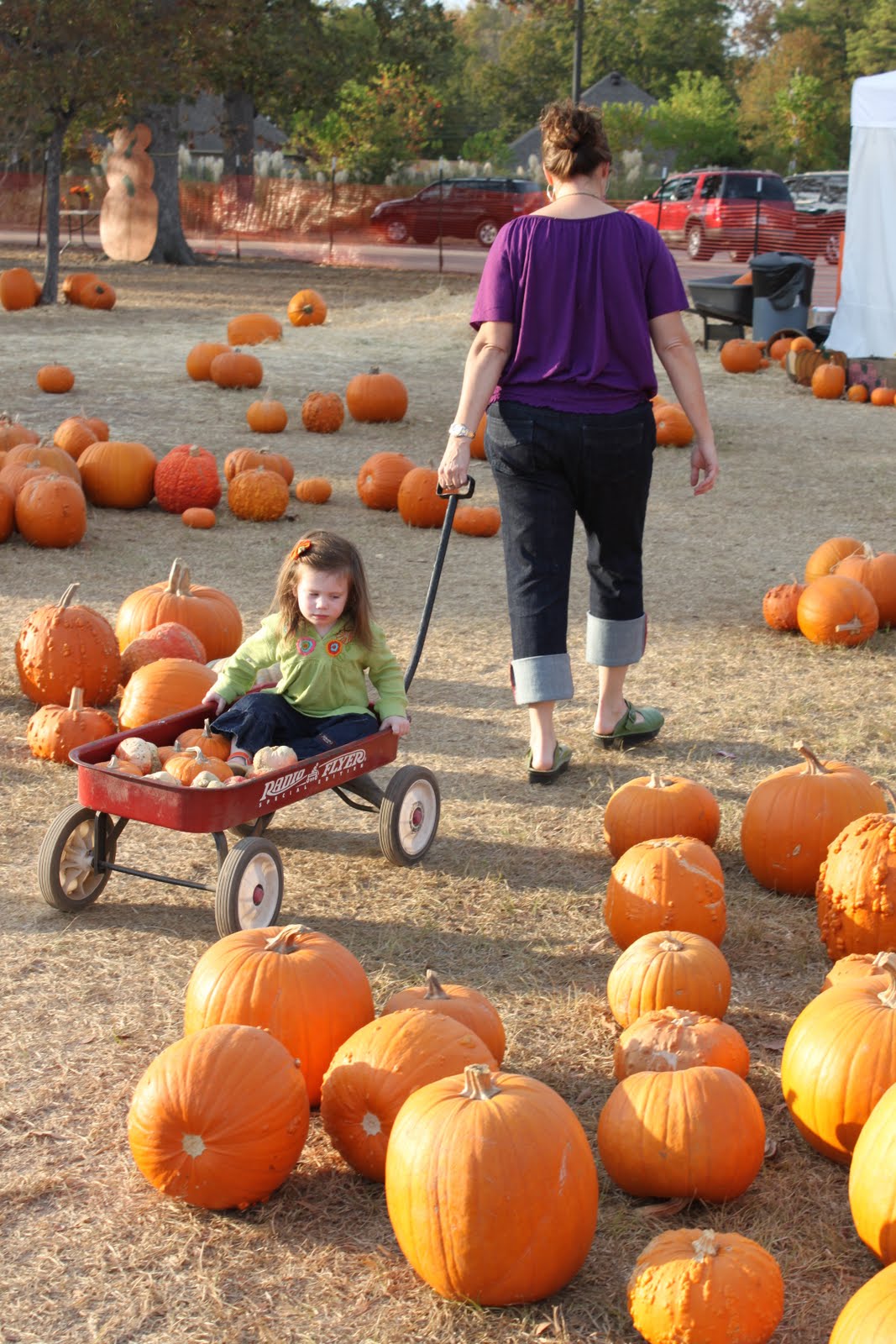 Mojoy: Pumpkin Patch 2010...