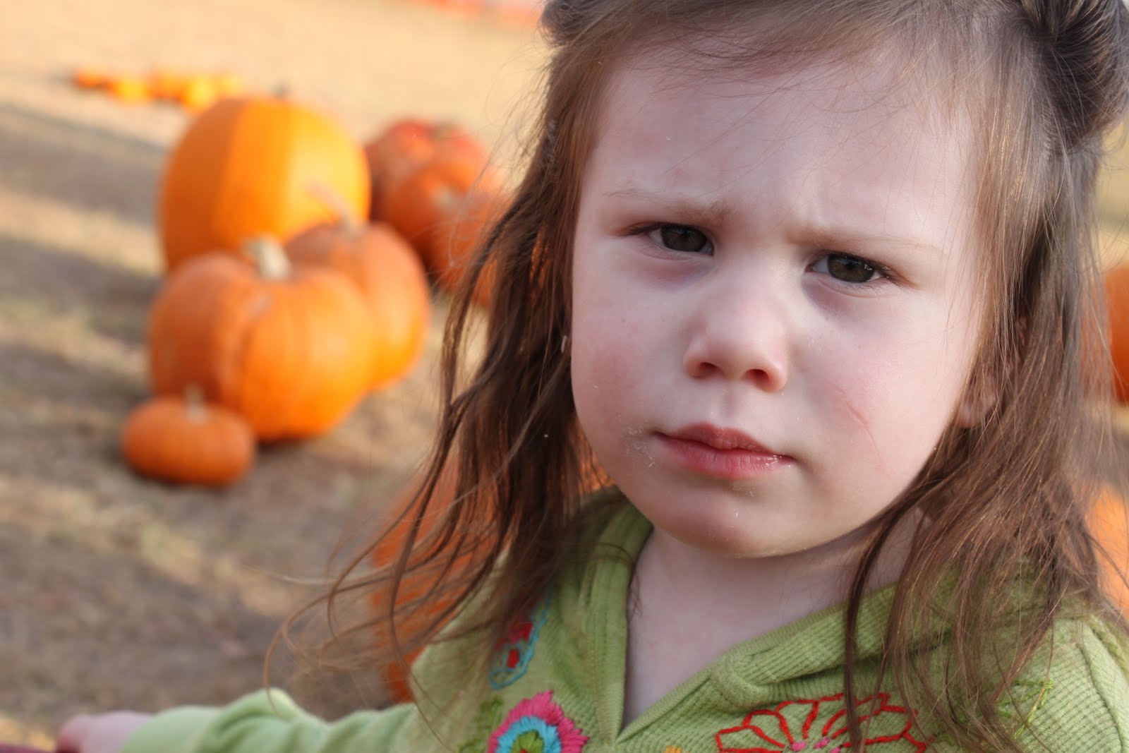 Mojoy: Pumpkin Patch 2010...