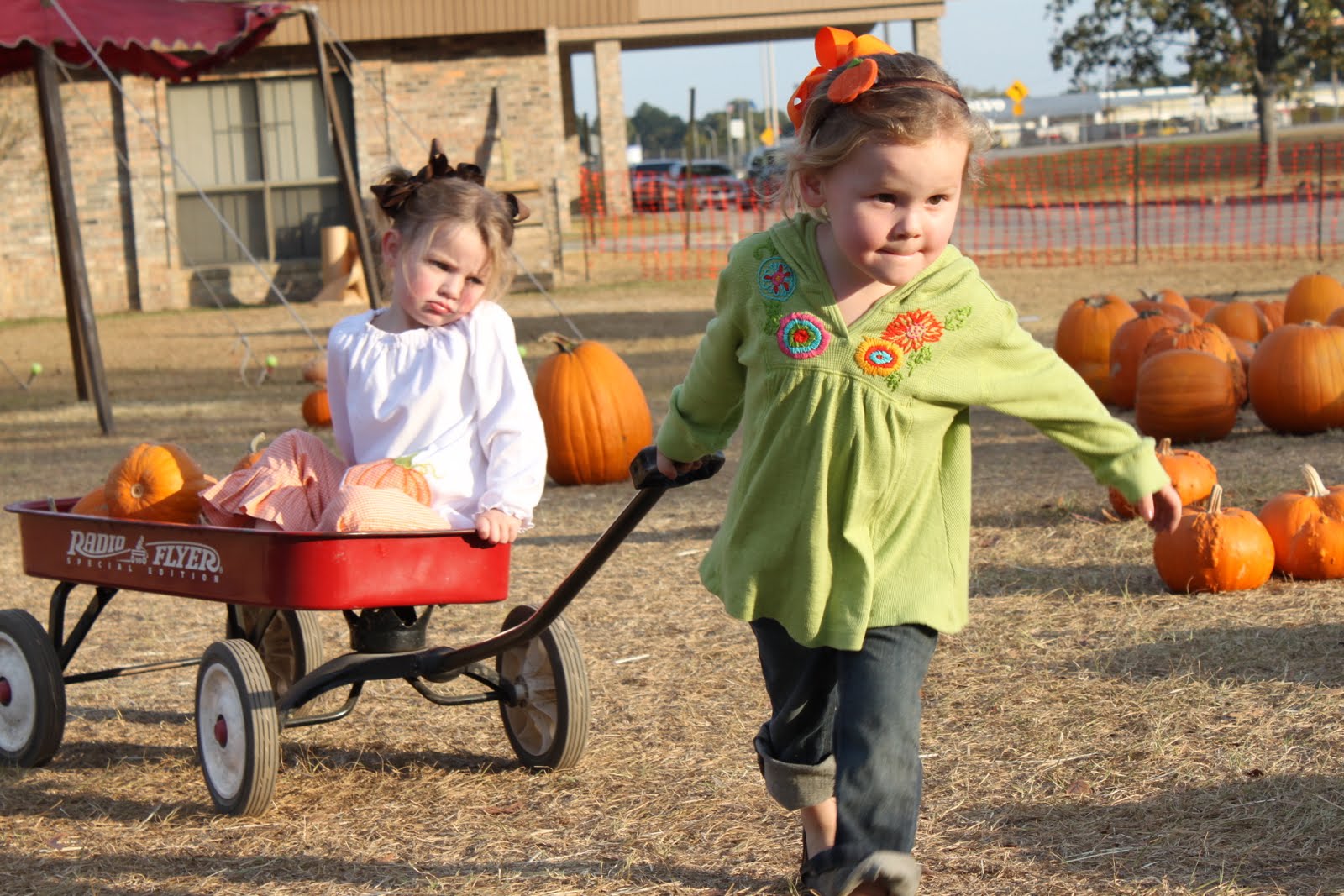 Mojoy: Pumpkin Patch 2010...
