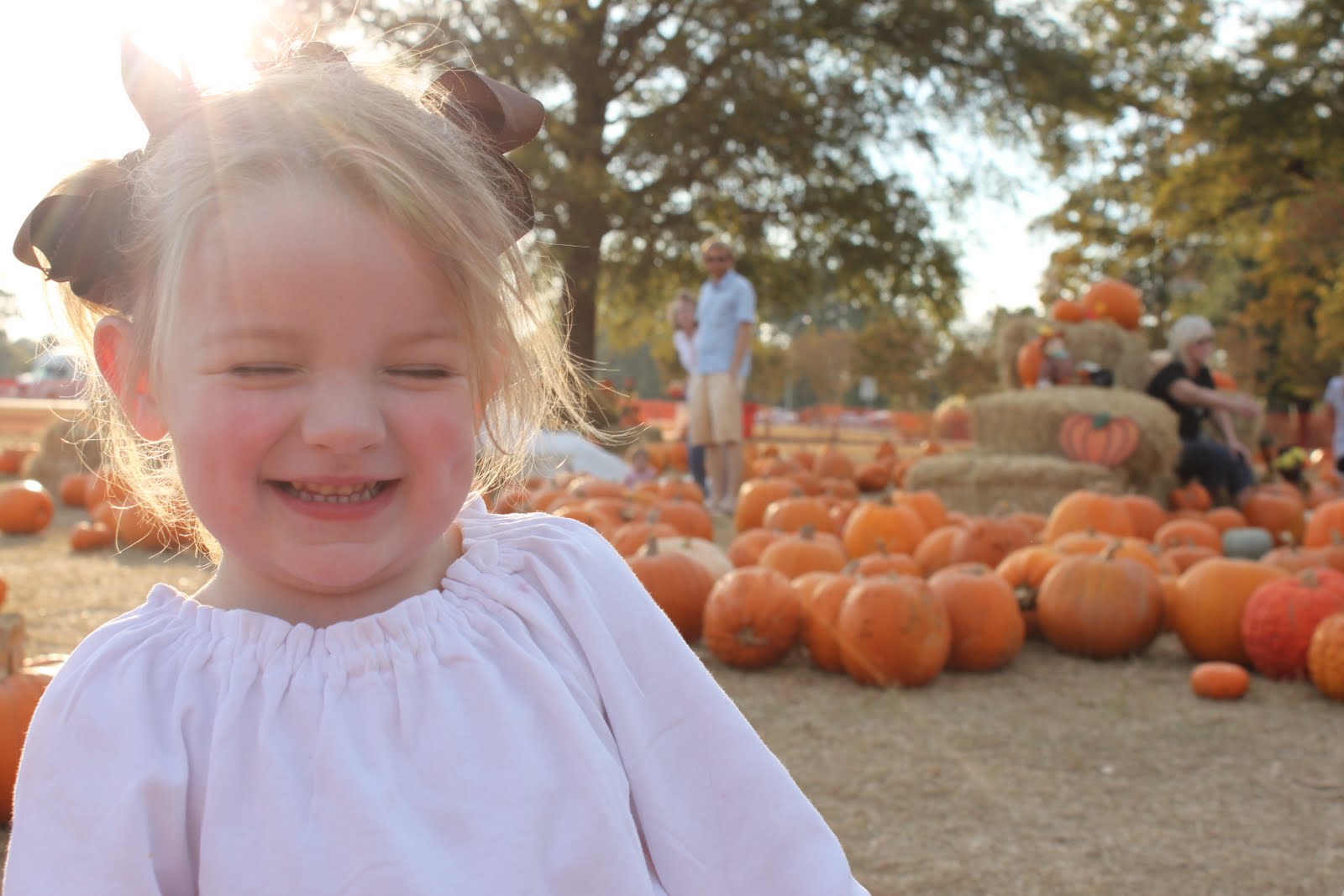 Mojoy: Pumpkin Patch 2010...