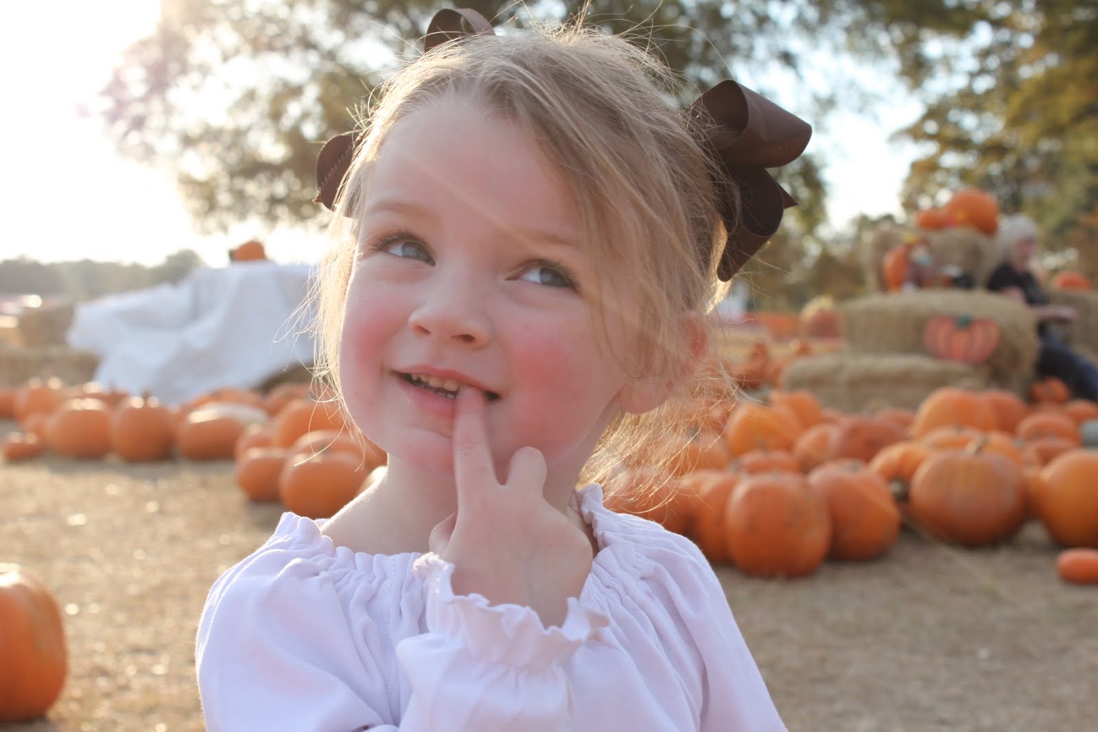 Mojoy: Pumpkin Patch 2010...