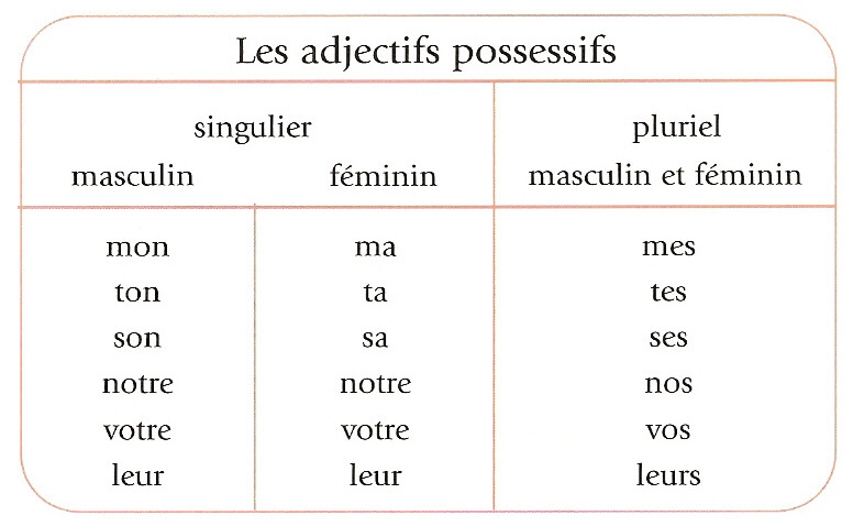 Les adjectifs possessifs maGiefrançais