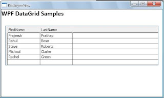 Born to Automate : Working with WPF DataGrid – Part 1