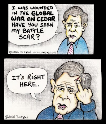 Politics: Revolutionary War Political Cartoons