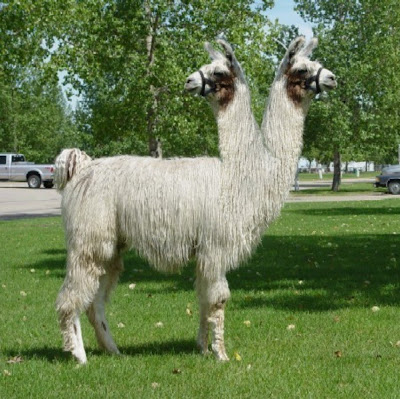 Elizas instagram hacked : r/The100