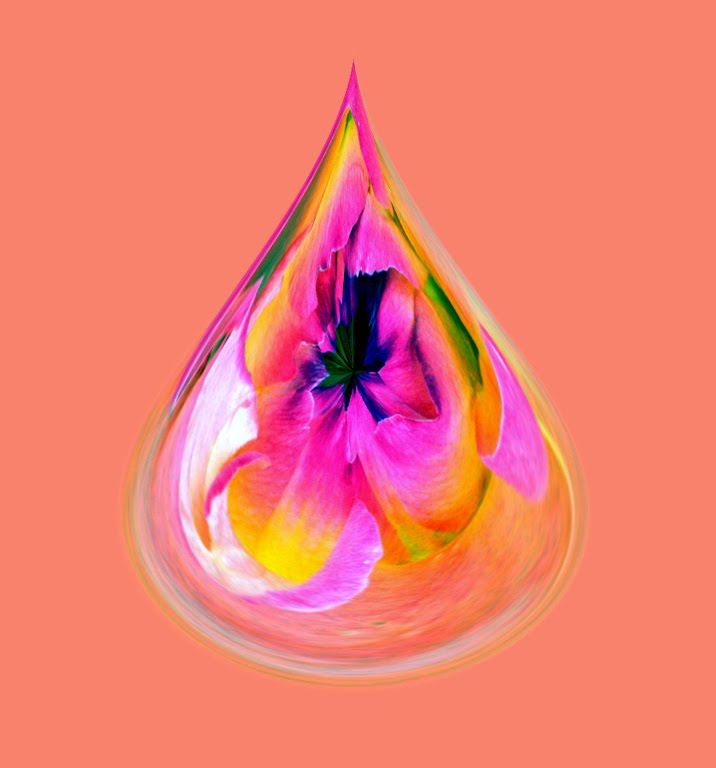 Lisa Photography Blog How To Make A Tear Drop lisa-photography-blog-how-to-make-a-tear-drop