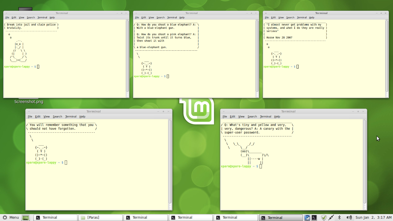 Worst experience installing Linux till date - My Octopress Blog