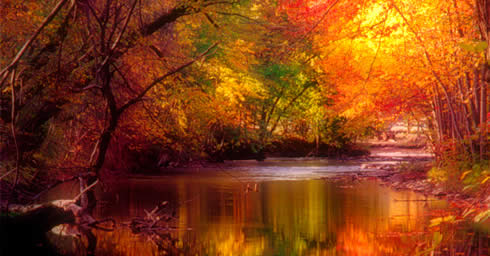 Fotos alta resolucion gratis - Imagui