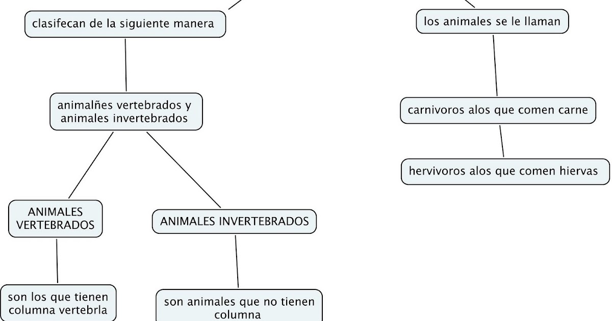 LOS ANIMALES: ORGANIZADOR VISUAL