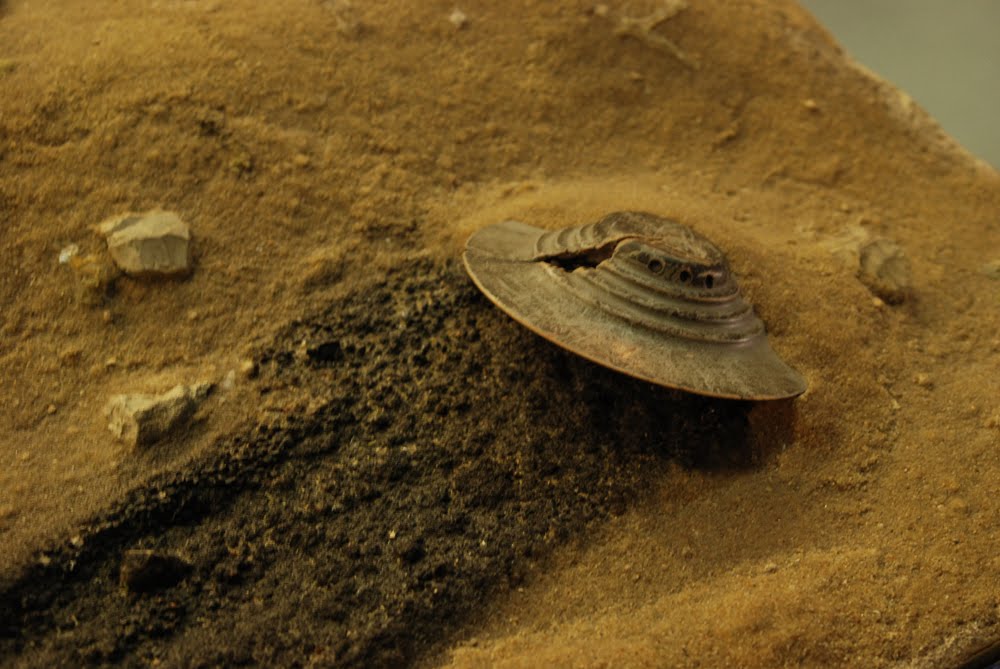 [TMP] "15mm Victorians VS Crashed UFOs?" Topic