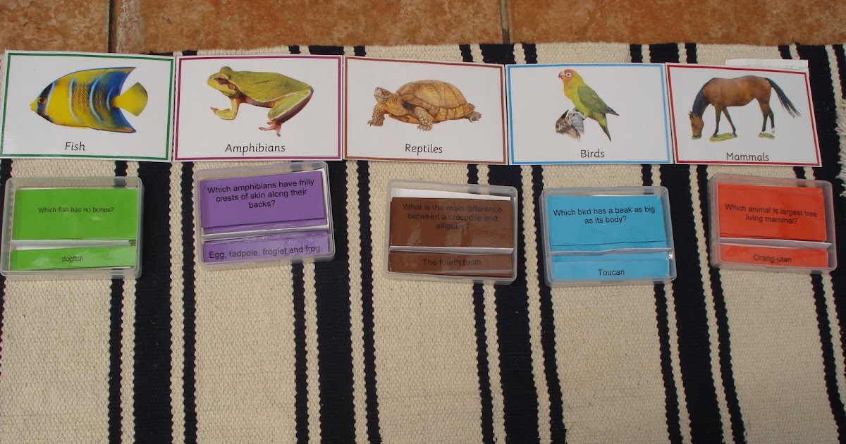 THE LEARNING ARK - Elementary Montessori : Animal kingdom Questions