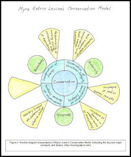 Myra Estrin Levine's Conservation Theory