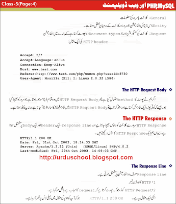 Learn Computer in Urdu, Computer Courses in Urdu: General Client Information in Urdu Class 5