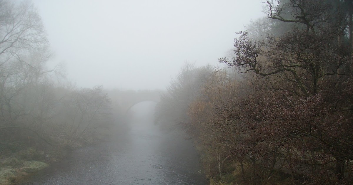 Educational Escapades Misty Weather educational-escapades-misty-weather