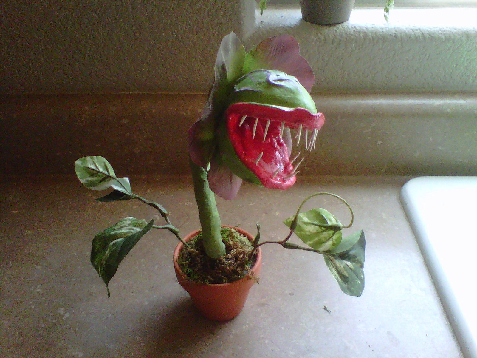 102 Wicked Things To Do 16 Man Eating Plant 102-wicked-things-to-do-16-man-eating-plant