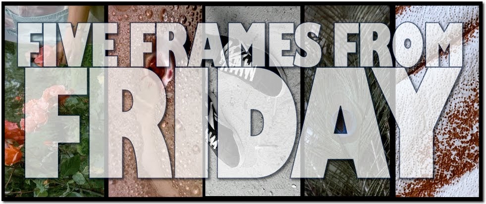 my new plaid pants: Five Frames From... Friday