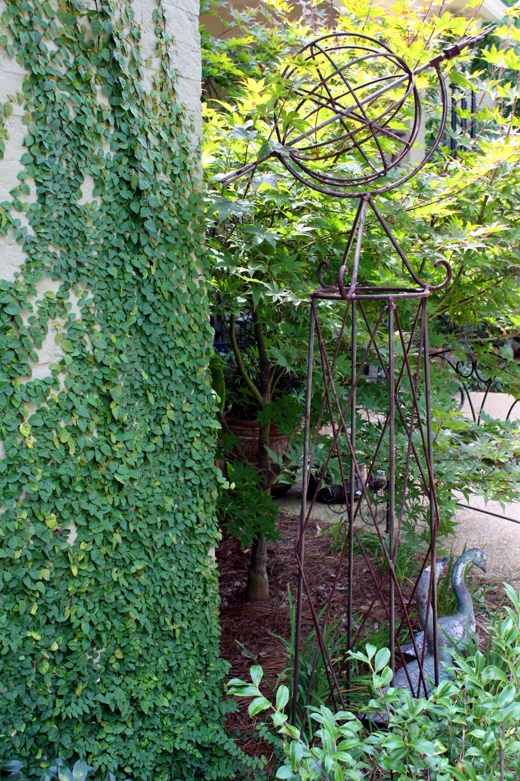 Southern Lagniappe Creeping Fig Vine southern-lagniappe-creeping-fig-vine