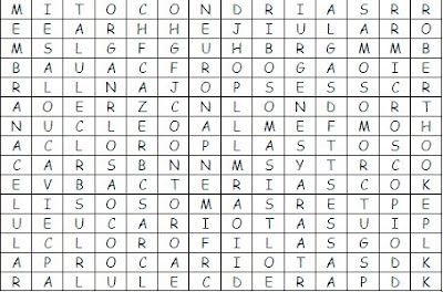 CIENCIAS NATURALES: LA CÉLULA