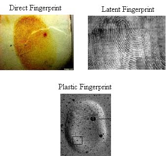 Forensics Science: Fingerprint Types~